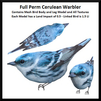 Second Life Marketplace - Full Perm Cerulean Warbler